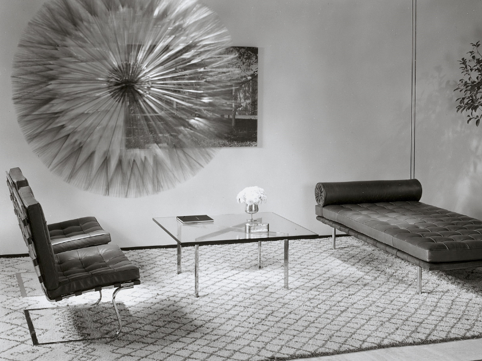 OfficeWorks | Tugendhat Chair