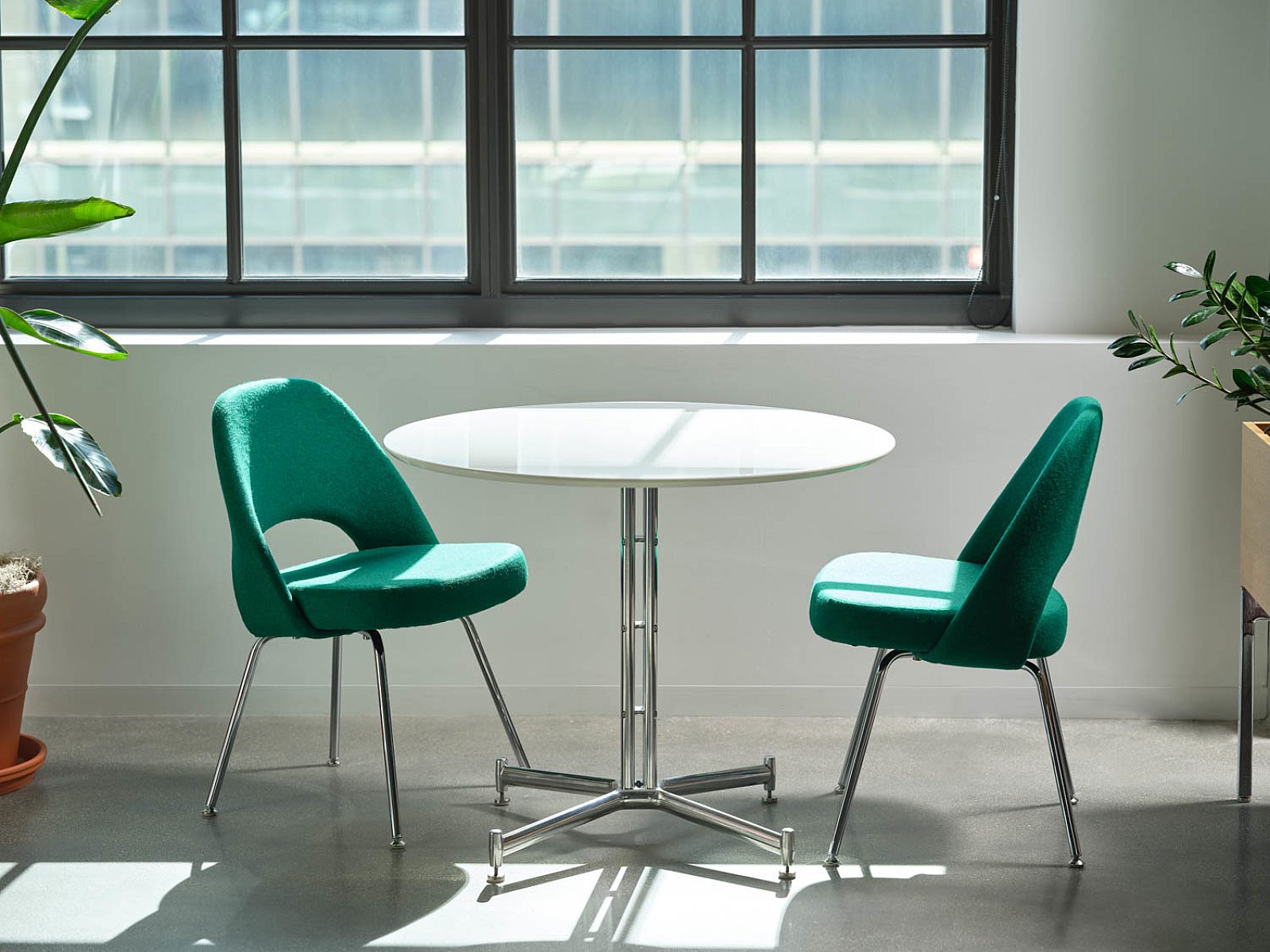 OfficeWorks | The Iquo Café Collection