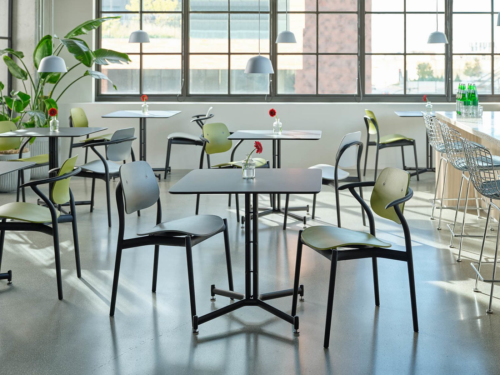 OfficeWorks | The Iquo Café Collection