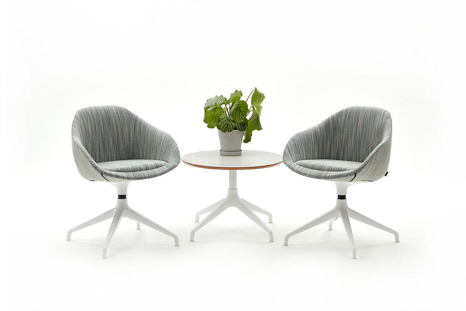 OfficeWorks | Ali Coffee Table